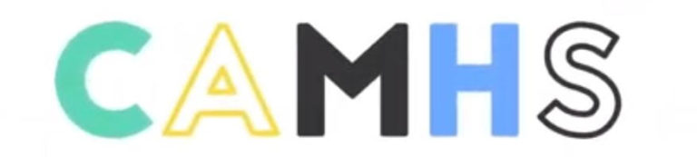 CAMHS Linn Dara – simultaneous FIOS upgrade for 8 community teams – Manitex